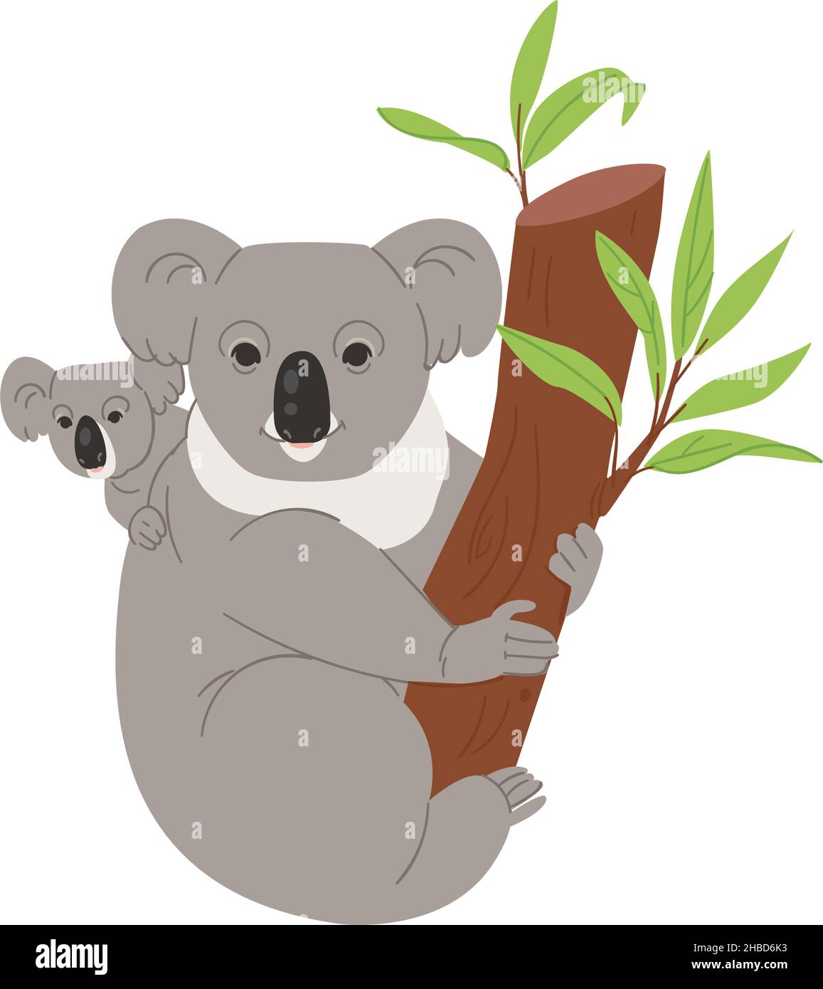 Koala Australian Animal