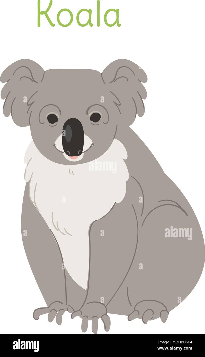 the koala is standing. Australian bird in a simple style. Flat vector ...