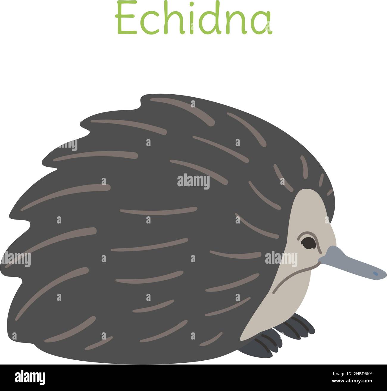 the echidna is standing. Australian bird in a simple style. Flat vector ...