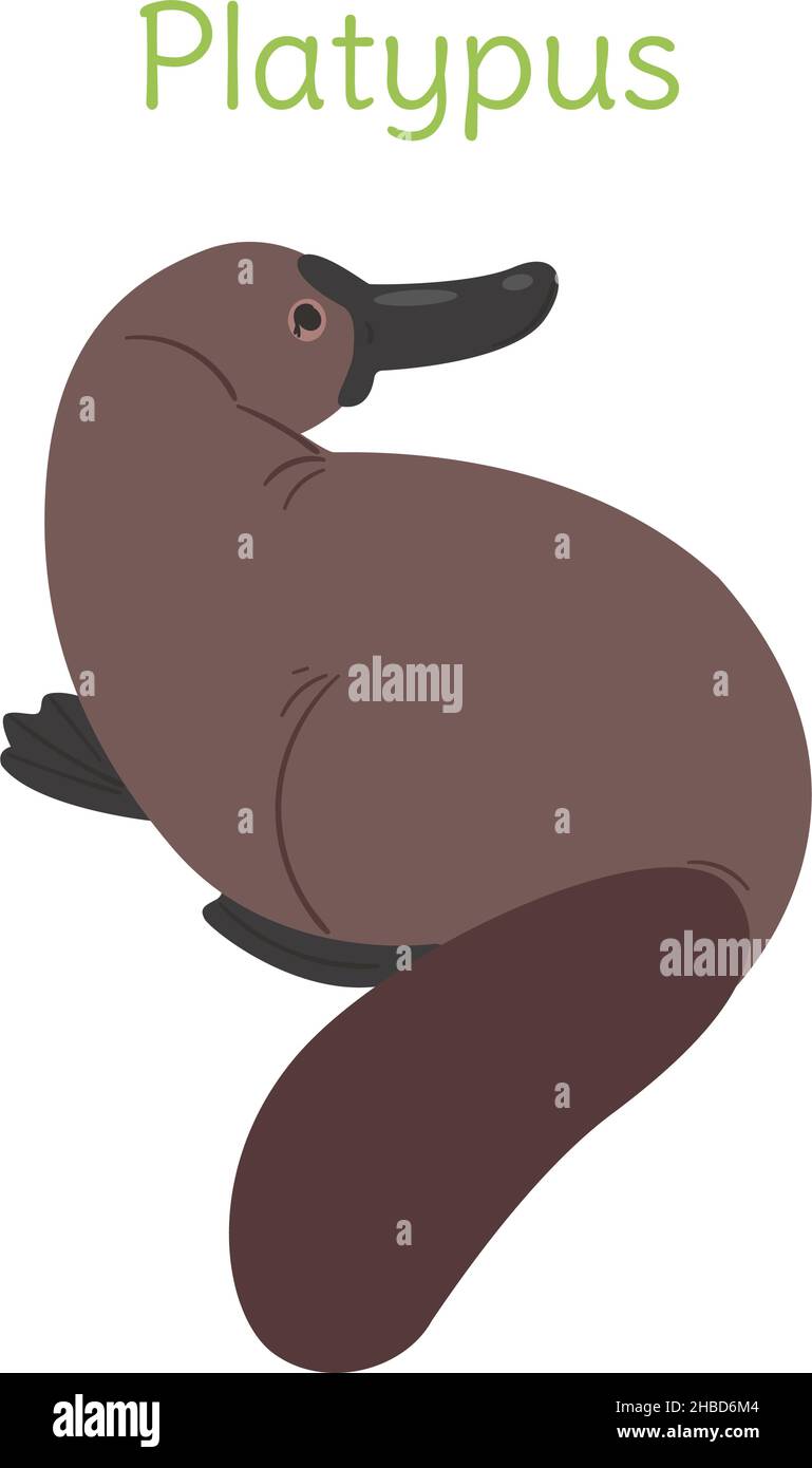 the platypus is sitting. Australian bird in a simple style. Flat vector ...