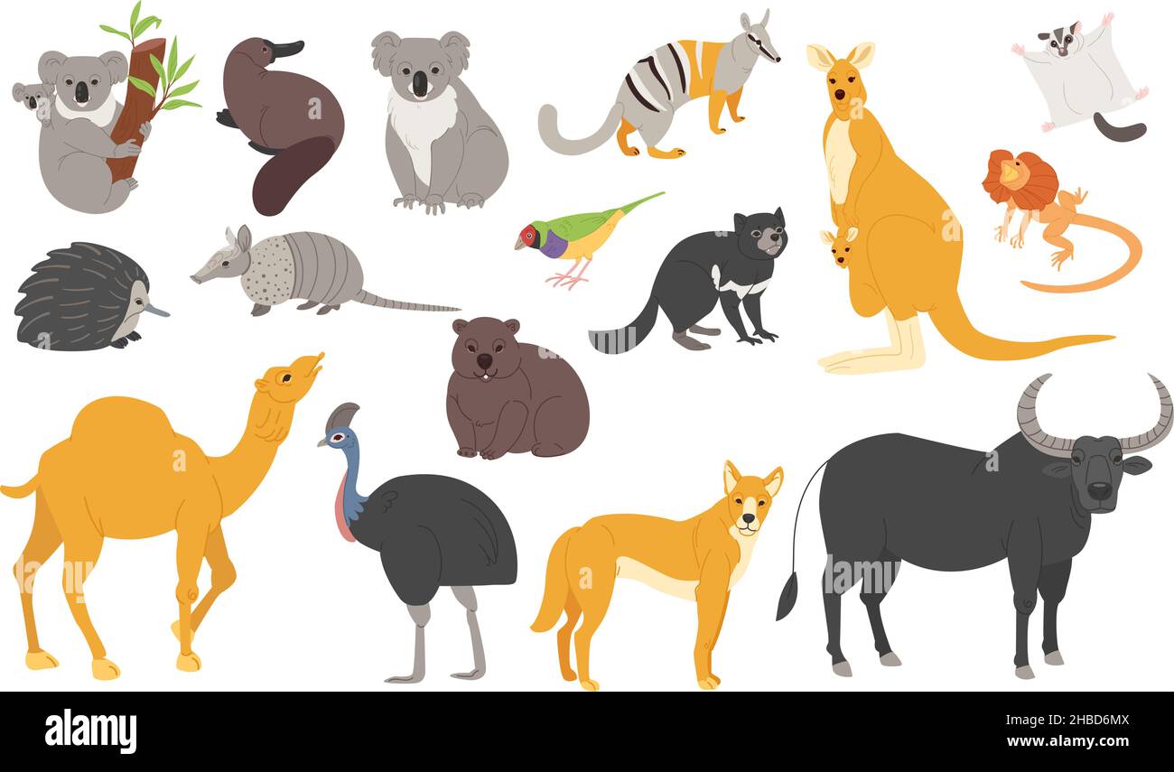 Australian wild fruits Stock Vector Images - Alamy