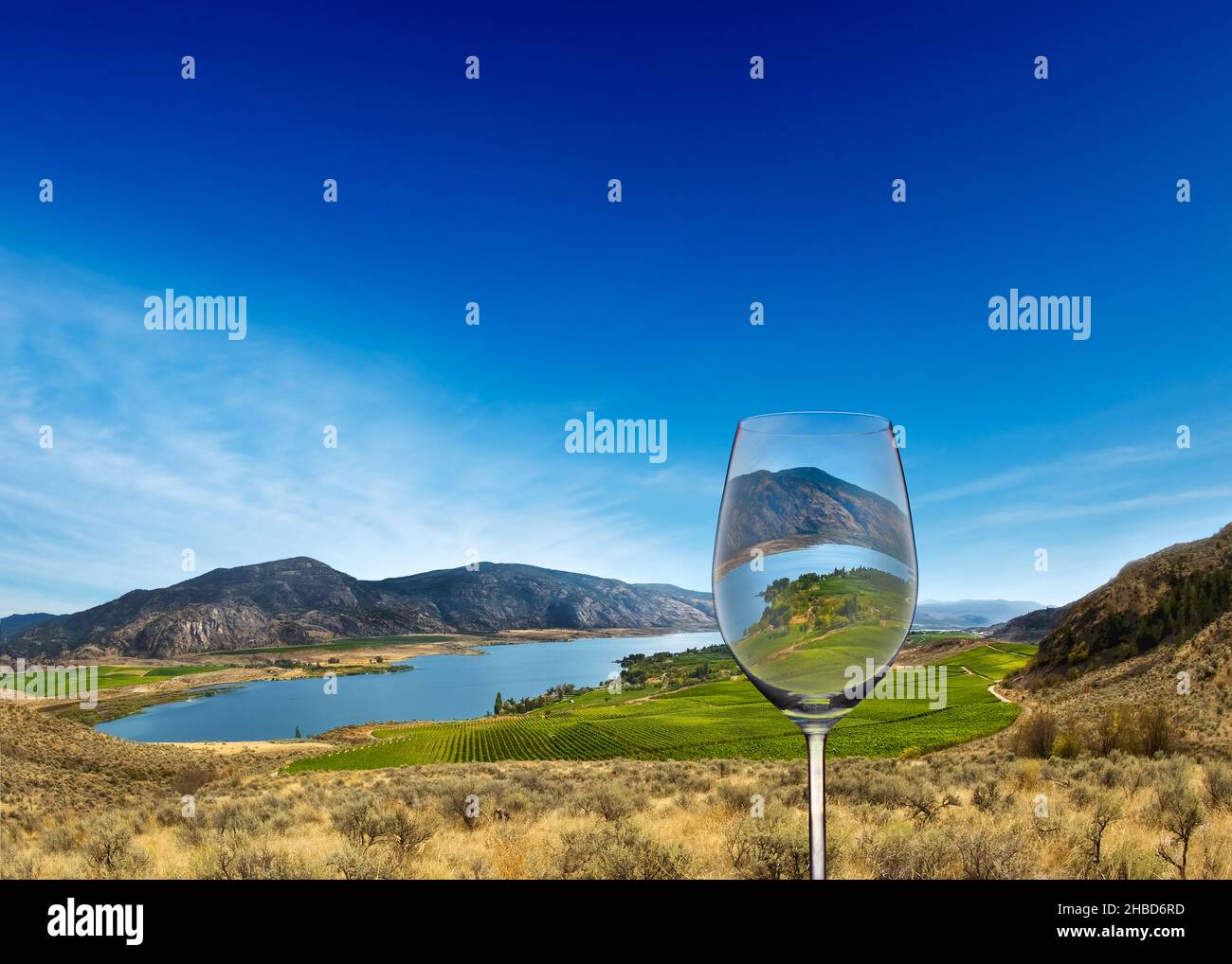 Wine glass as magnifying glass over vineyard landscape with lake and ...