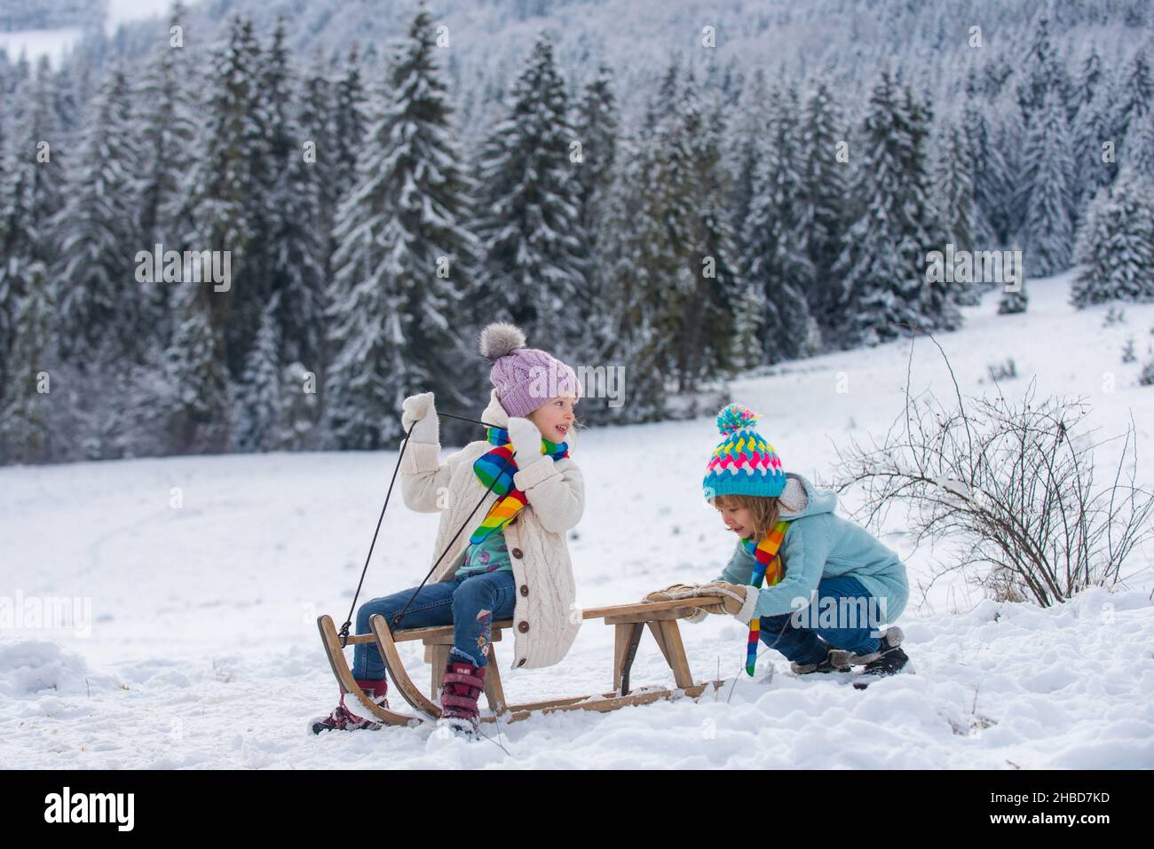 Children sledding, riding a sledge. Children son and daughter play in ...