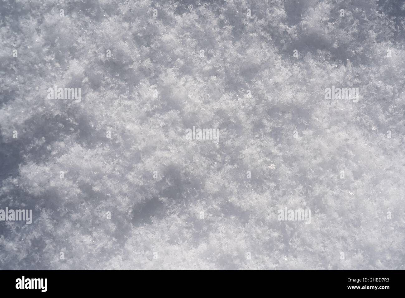 Snow background, snow texture. White snow as abstract background Stock ...