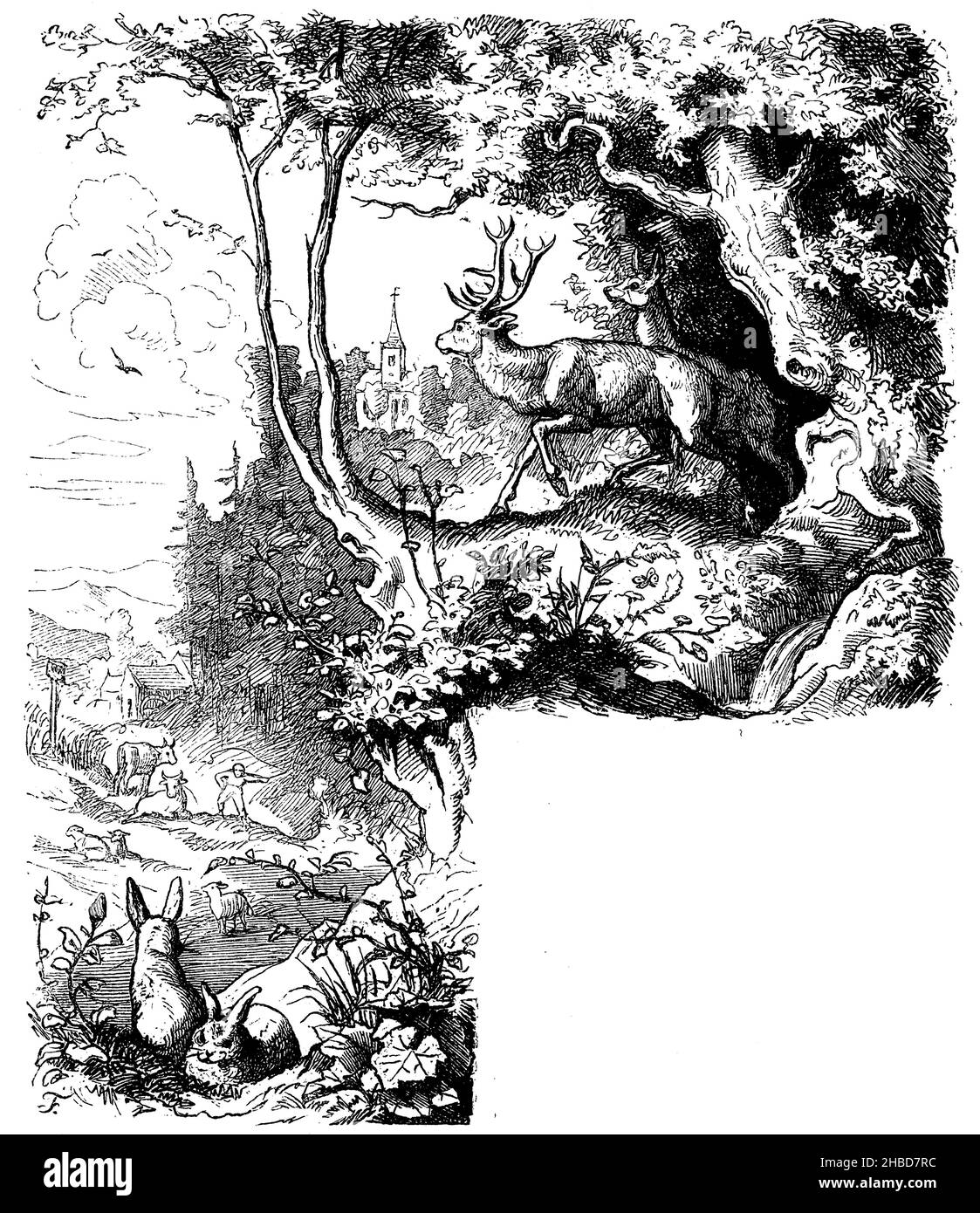 Chapter vignette, decorative border: deer, hares, castle, , F. (zoology ...