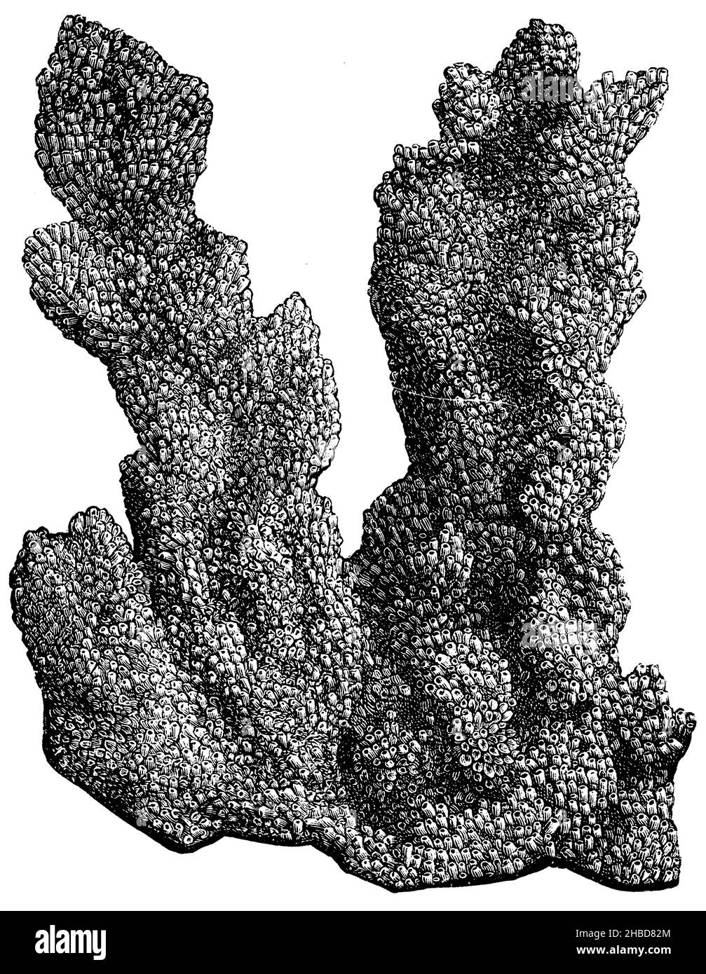 Un history Cut Out Stock Images & Pictures - Alamy