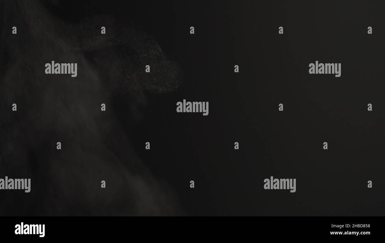 Steam rising over black background, wide photo Stock Photo - Alamy