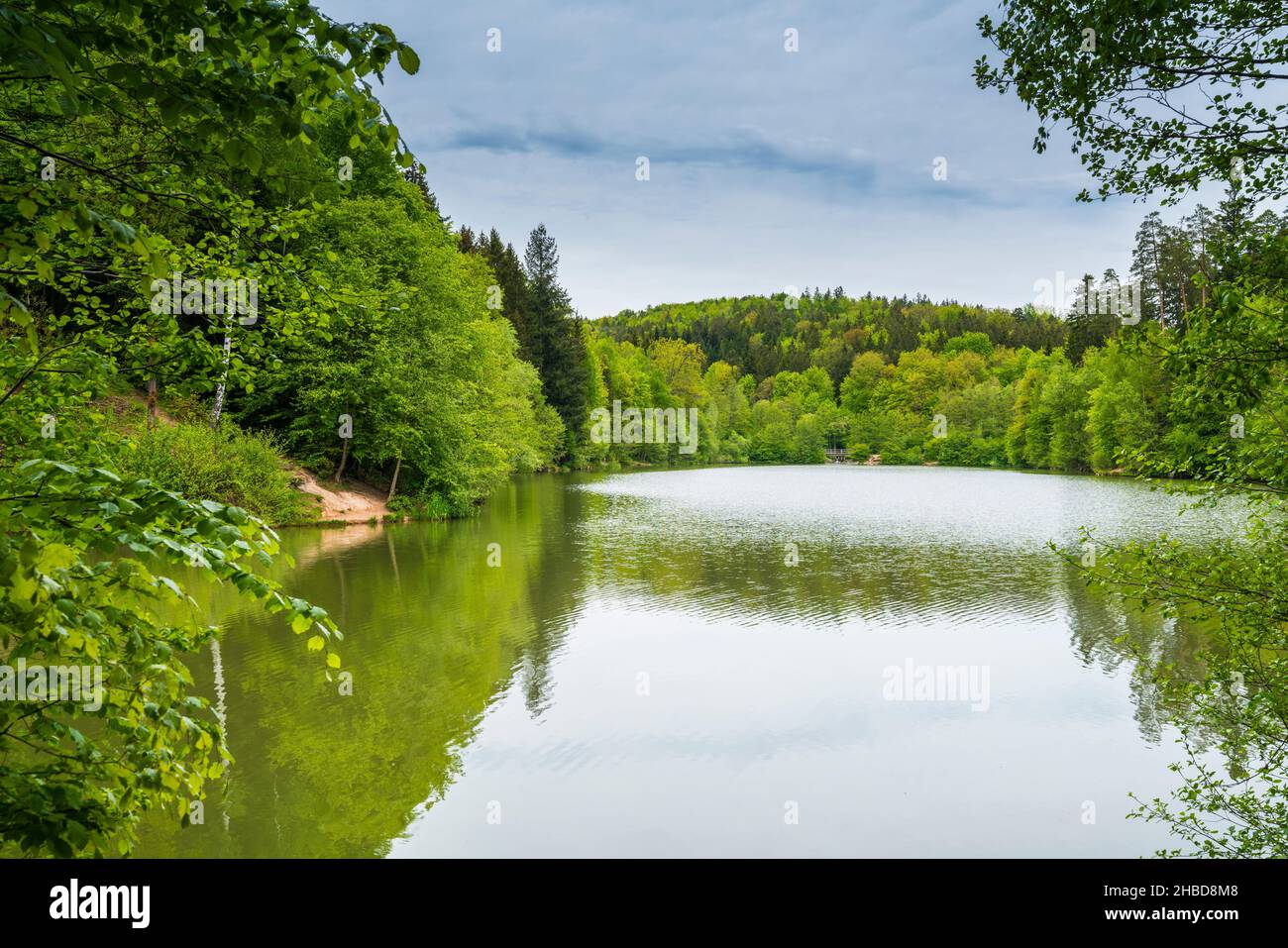 Germany, Lake water of Herrenbachstausee in green forest and nature ...