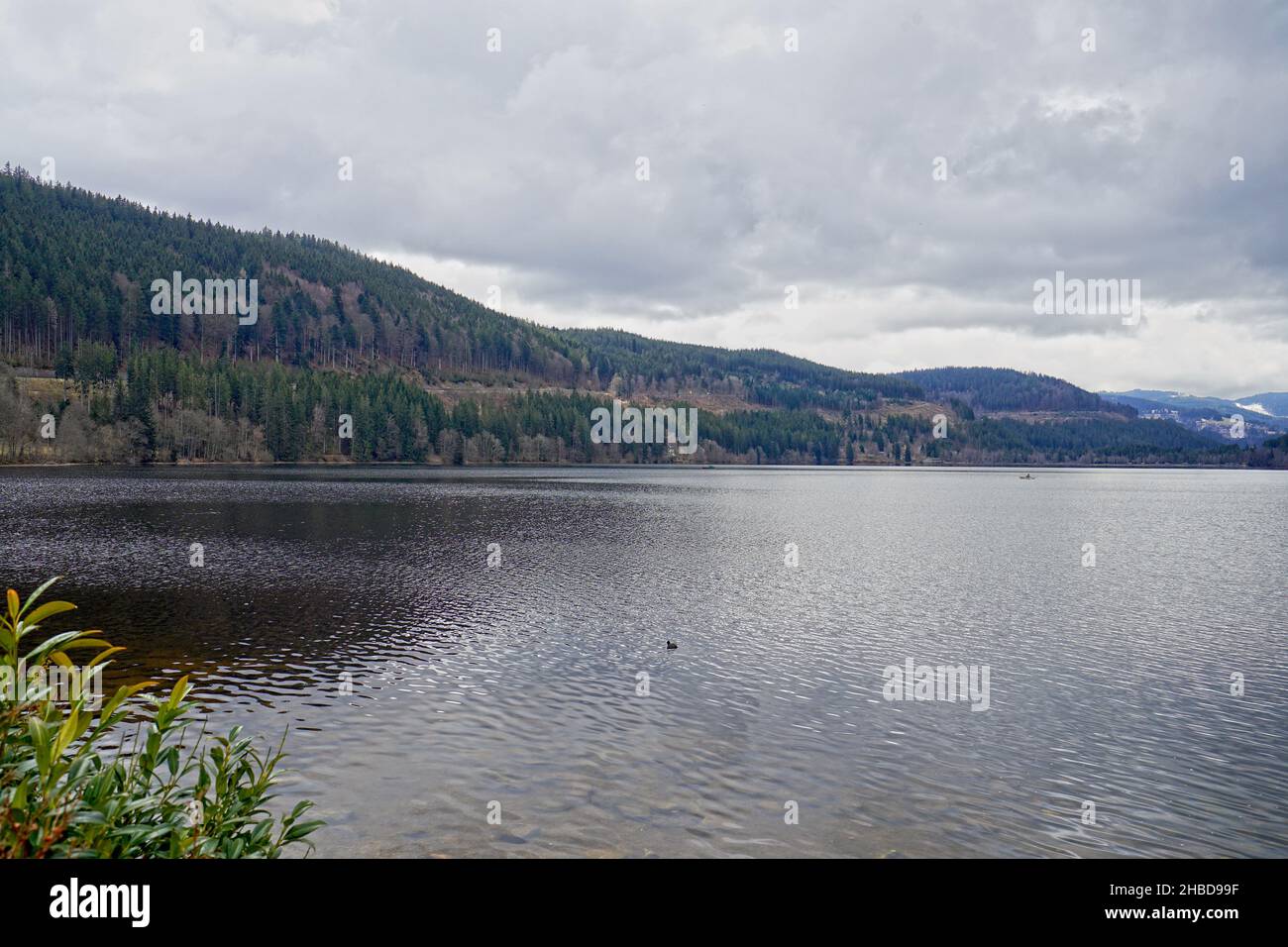 Titisee Lake Travel Destination, Germany Stock Photo - Alamy