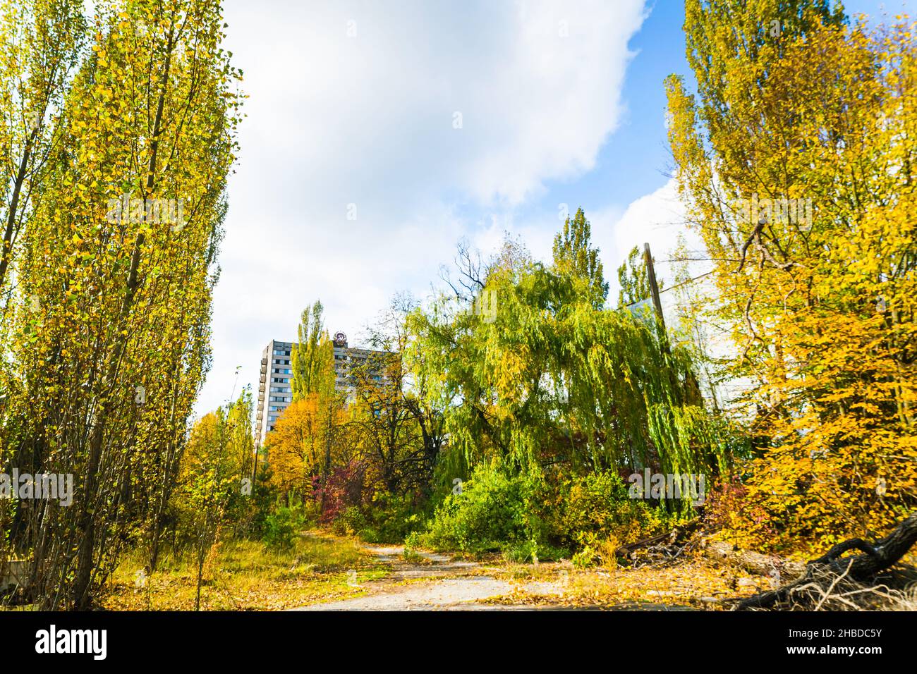 Blooming colorful trees during autumn in Pripyat and Chernobyl.In the ...