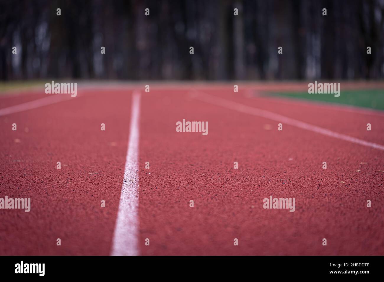 Close-up texture of a running track in a stadium Stock Photo - Alamy