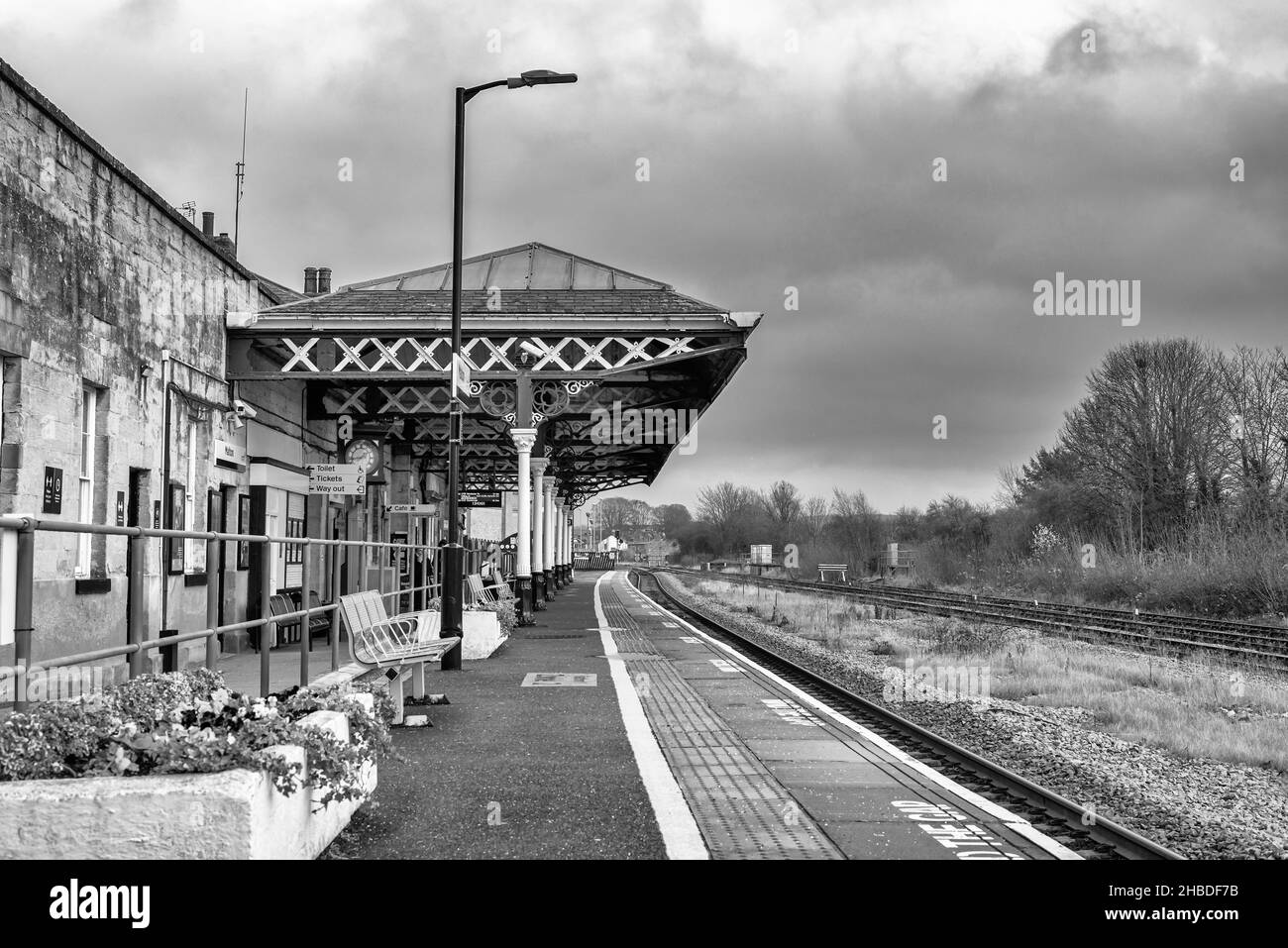 Canopy flowers Black and White Stock Photos & Images - Alamy
