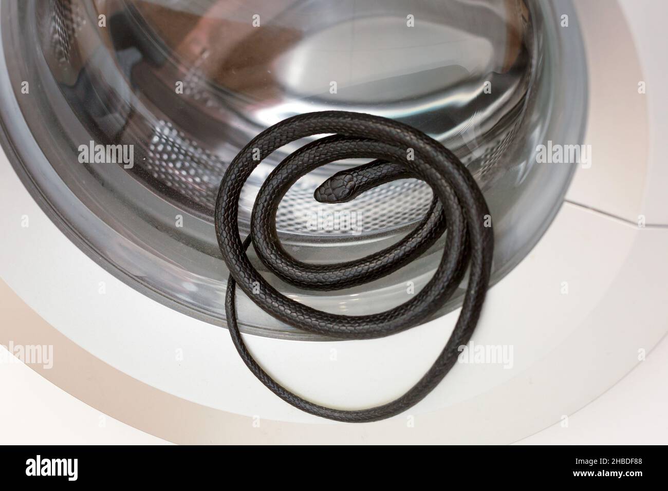 Snake house australia hi-res stock photography and images - Alamy