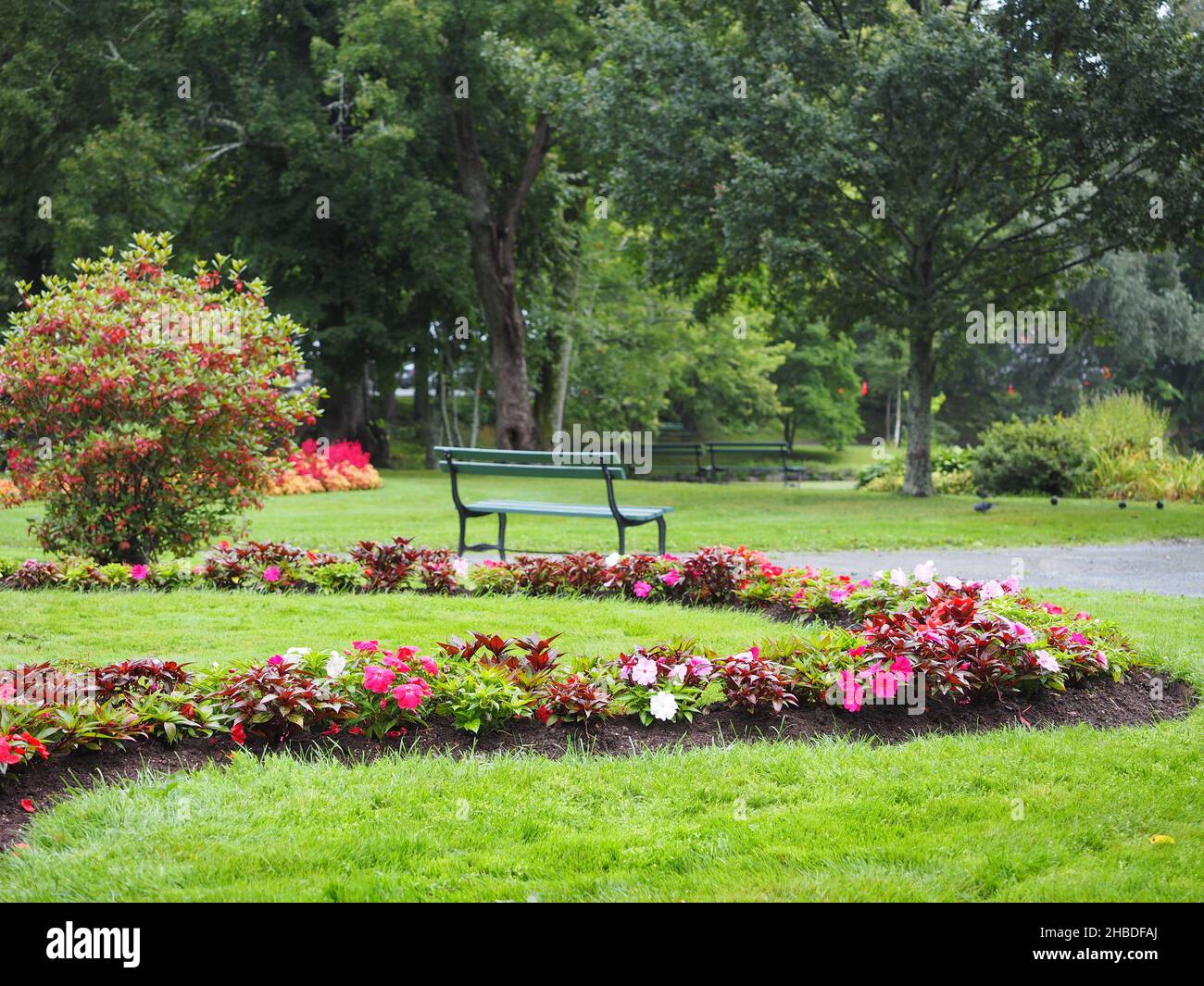 A beautiful landscape in a park with benches, lawn, and blooming ...