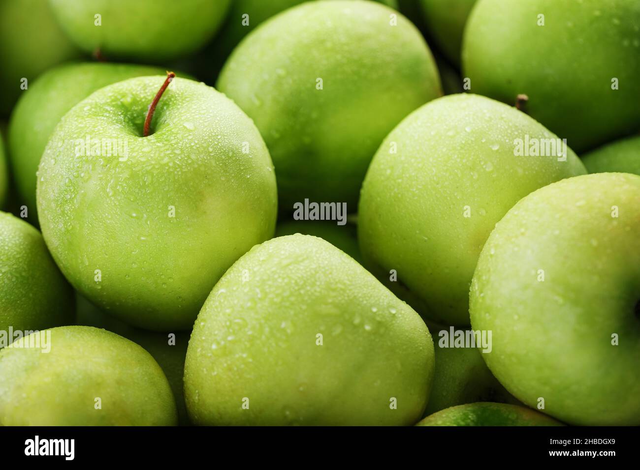 Ripe and juicy Green apples with dew drops. Juicy fruit In full screen ...
