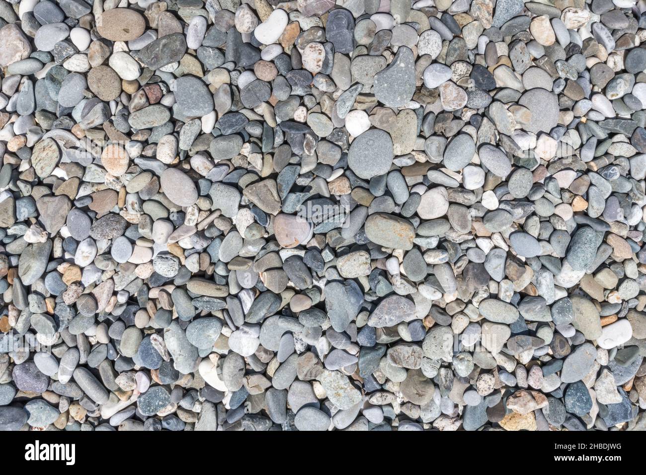 Light grey gravel (Pebble) floor texture, top view Stock Photo - Alamy