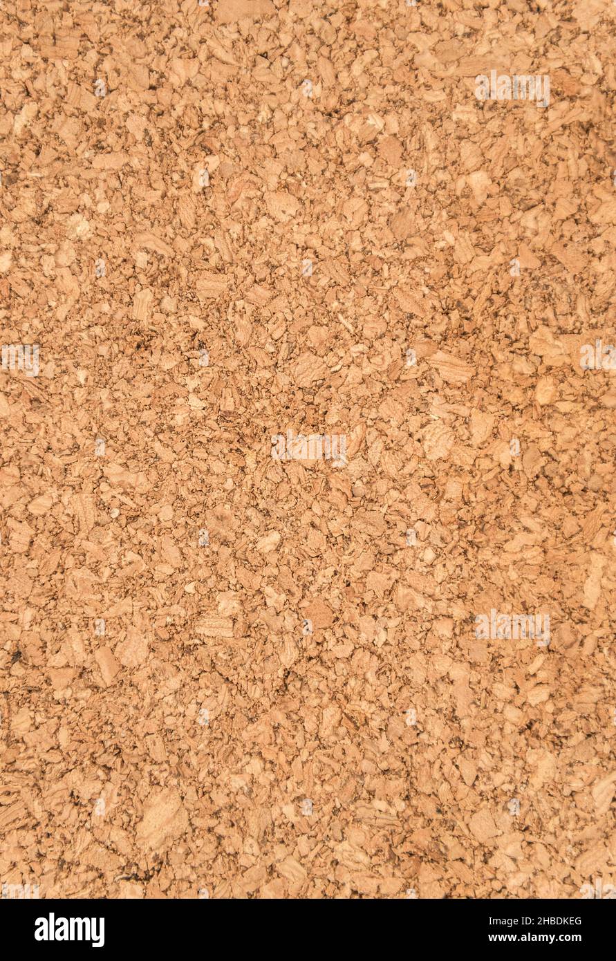 Cork board, for backgrounds or textures Stock Photo - Alamy