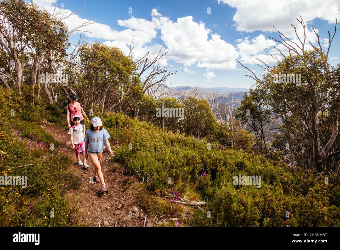 Mount Buller Walking and Biking Trails in Summer Stock Photo - Alamy