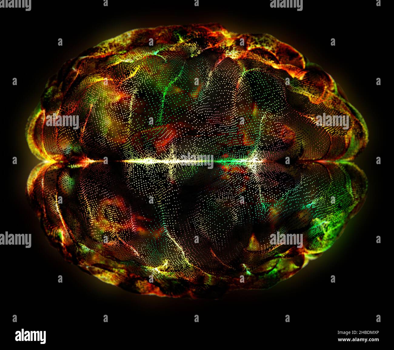 Digital brain. Artificial Intelligence Deep Learning Process Stock ...