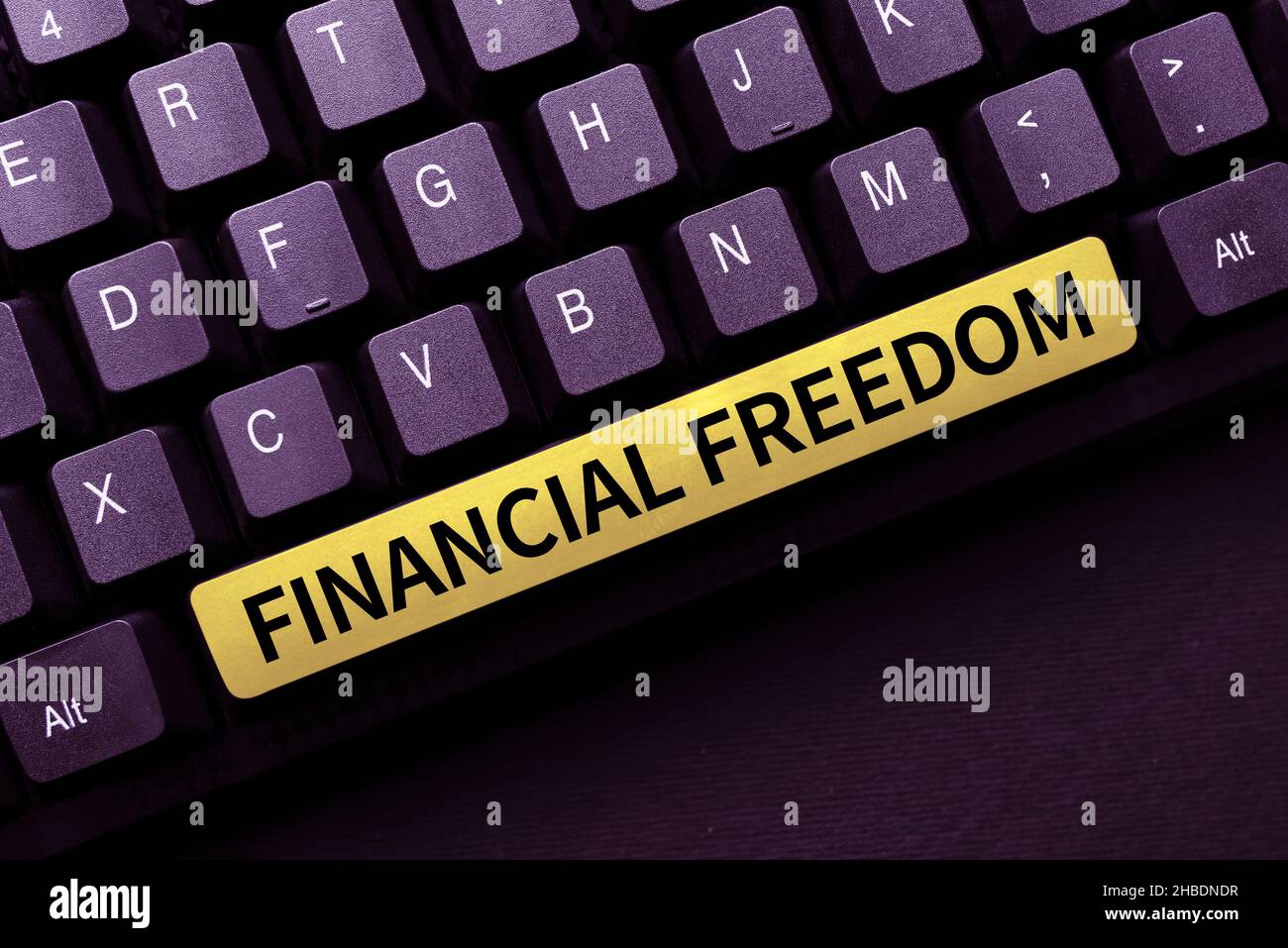 Handwriting text Financial Freedom. Business overview Having money Free ...