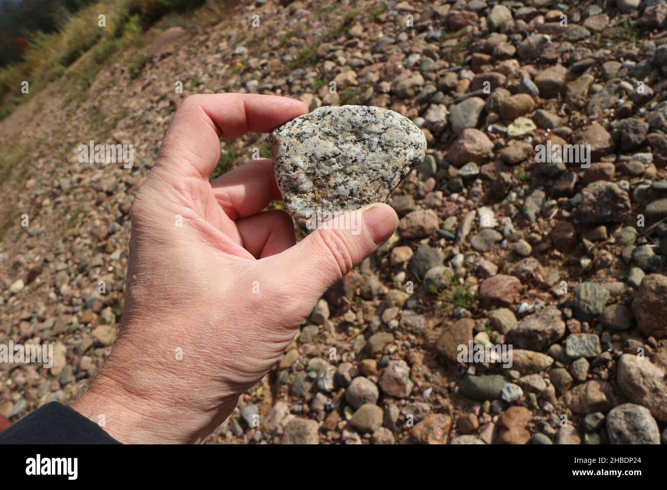 white granite stone with gray splashes in a human hand close-up Stock ...