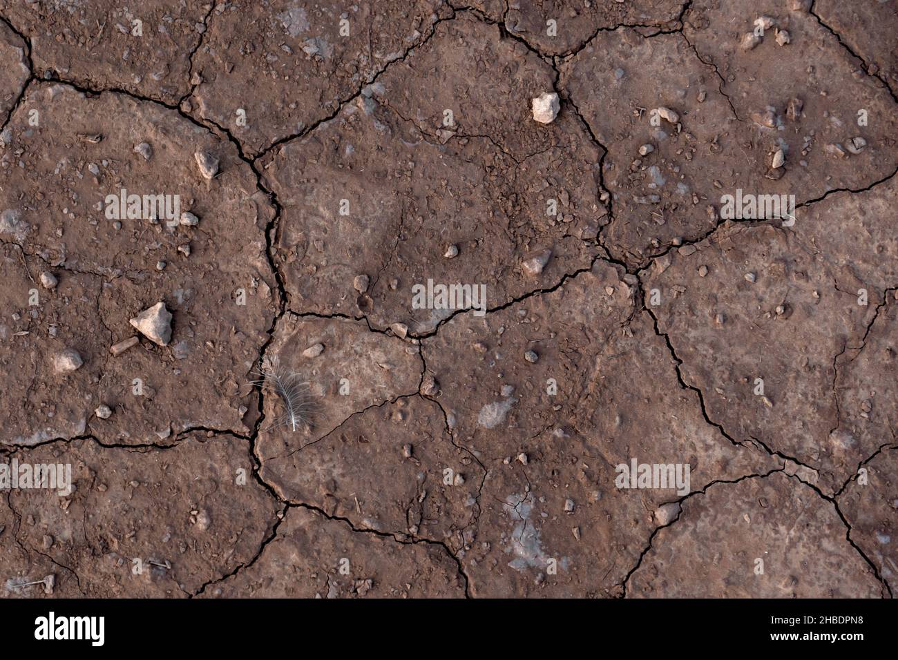 Drought background, hardening of the earth, top view of dry earth ...
