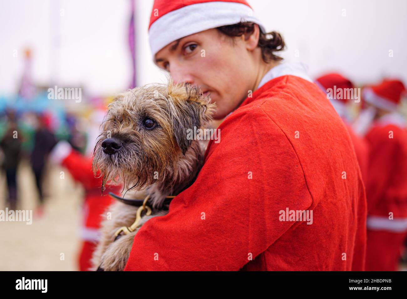 Dog chase man hi-res stock photography and images - Alamy