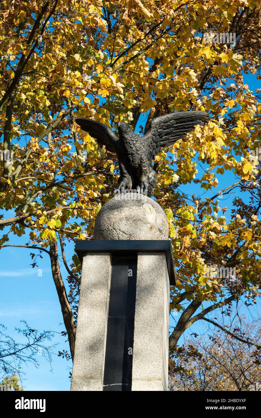 Pomeranian eagle hi-res stock photography and images - Alamy