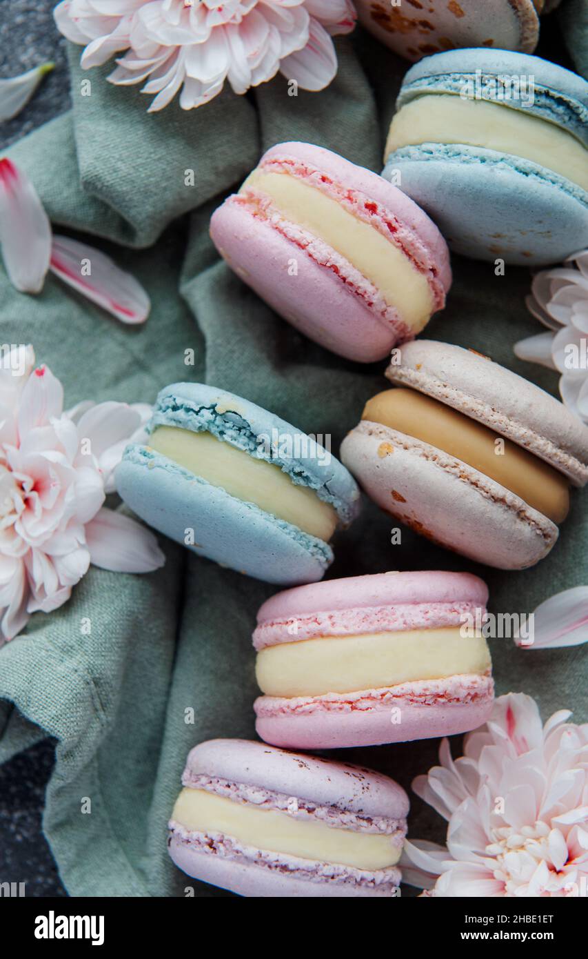 Beautiful colorful tasty macaroons and white flowers on a concrete ...