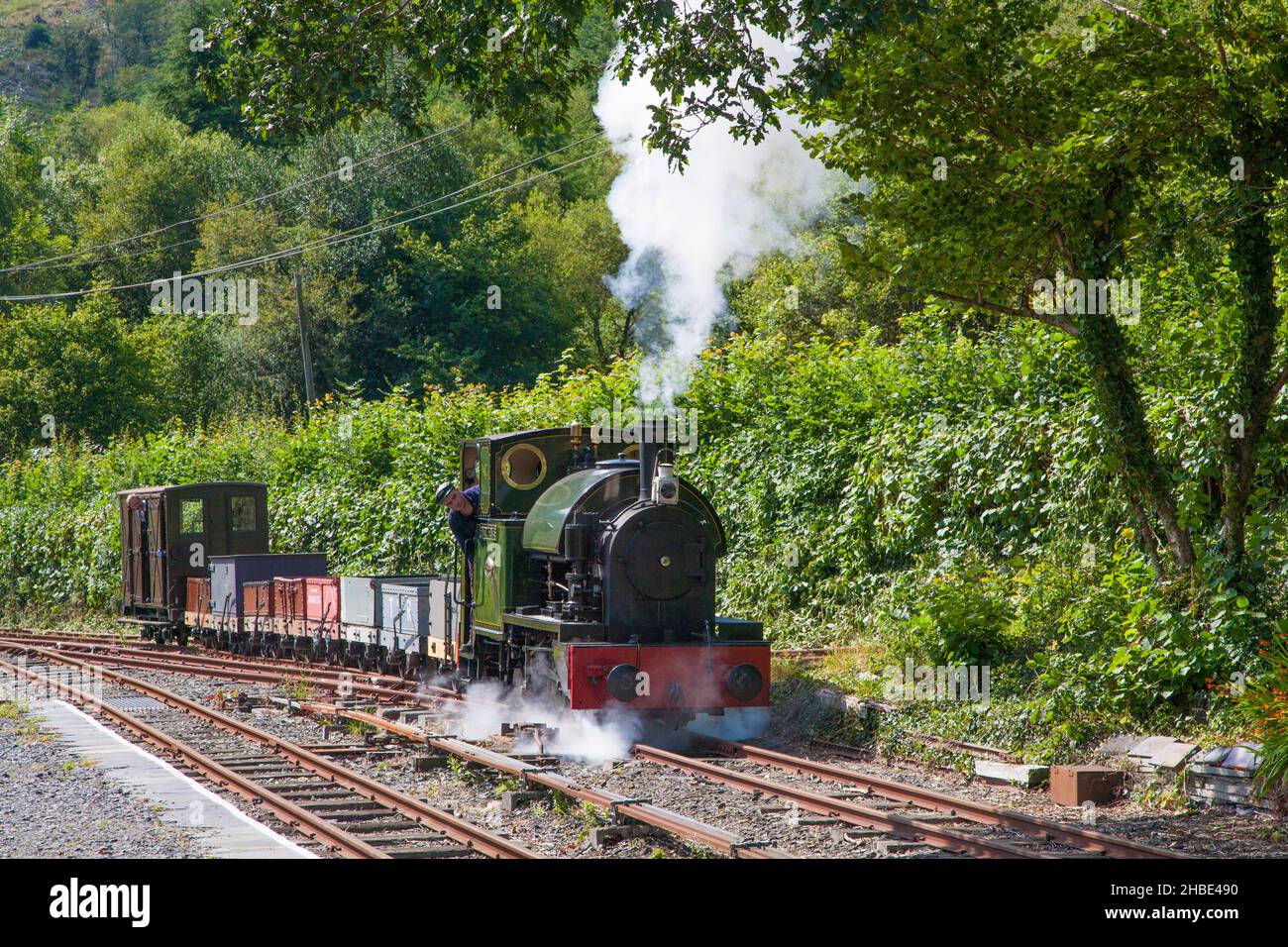 Loco No 4 Edward Thomas with a slate wagon train on The Corris Railway ...