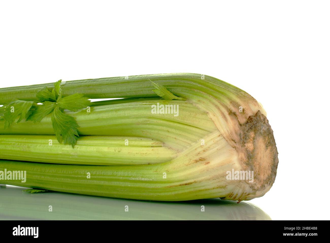 Single Celery Stalk