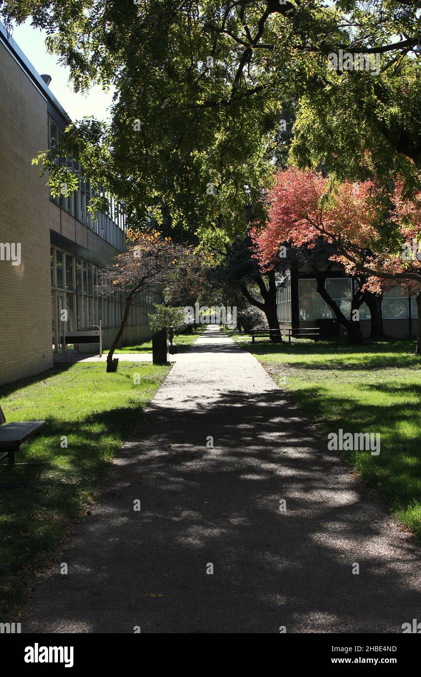 IIT's buildings on the Chicago college campus Stock Photo - Alamy