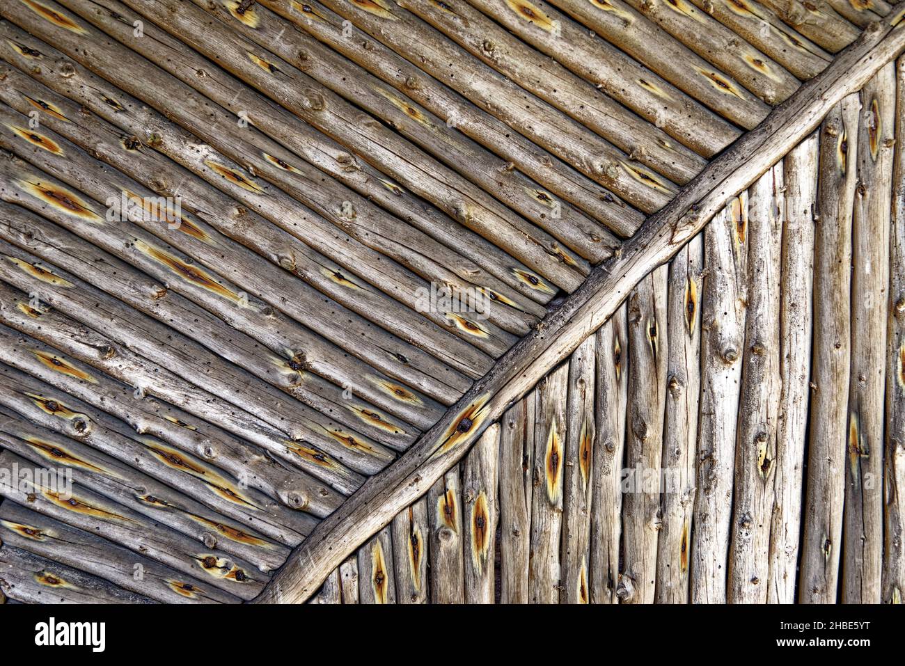 Texture of twigs of trees. Close up of wall made from various tree ...