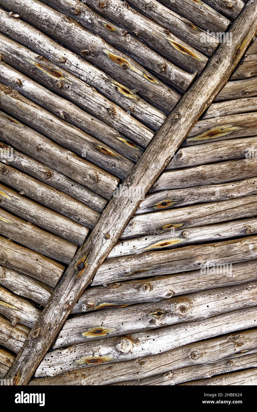 Texture of twigs of trees. Close up of wall made from various tree ...