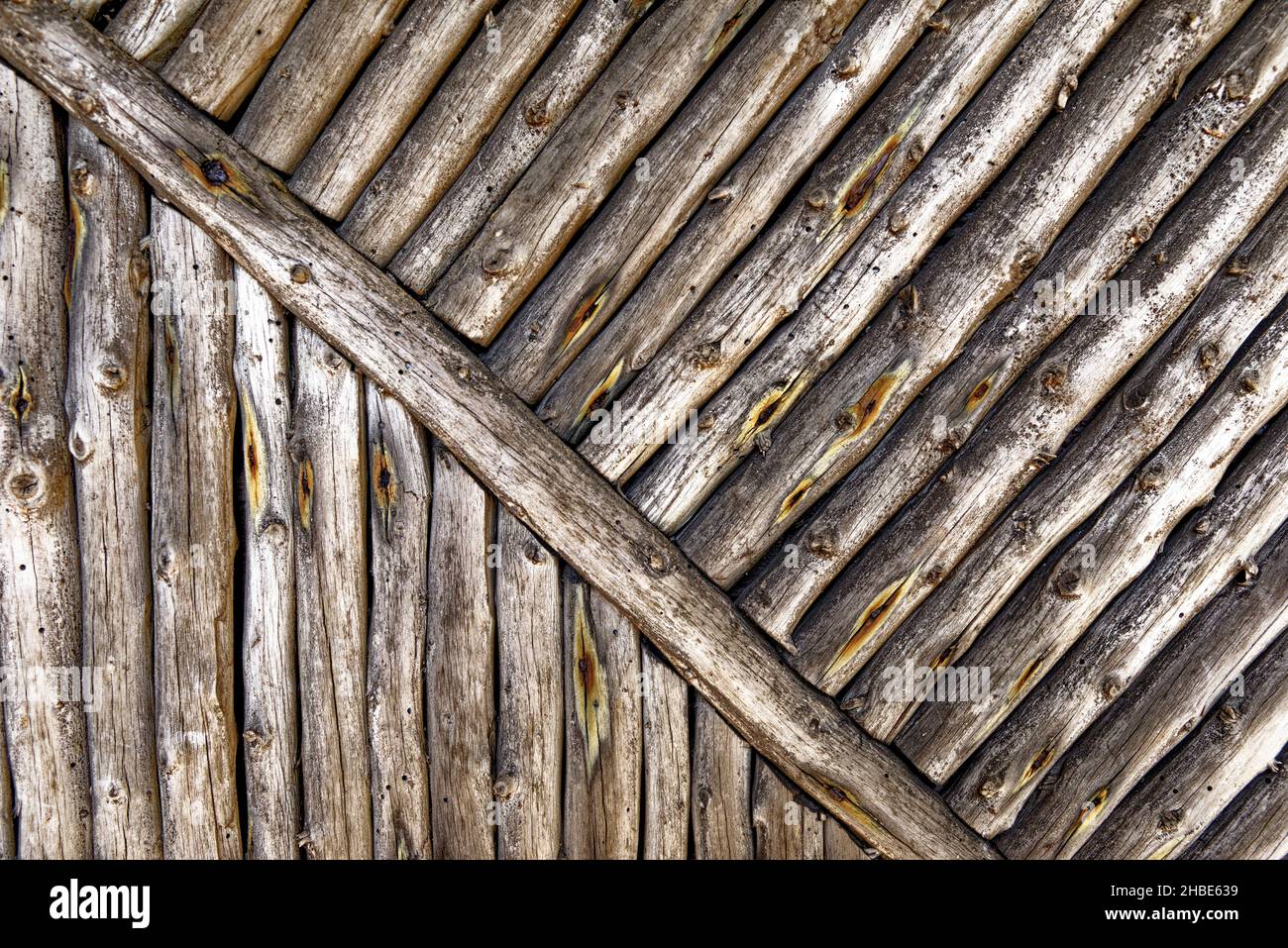 Texture of twigs of trees. Close up of wall made from various tree ...