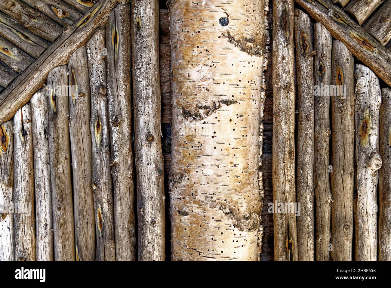 Texture of twigs of trees. Close up of wall made from various tree ...