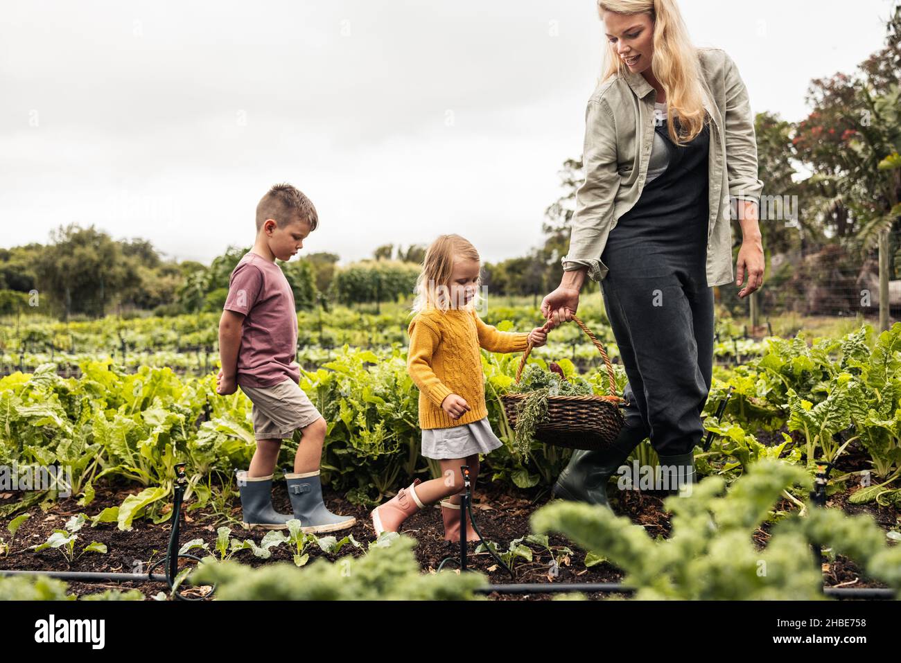 Grown son with mother hi-res stock photography and images - Alamy