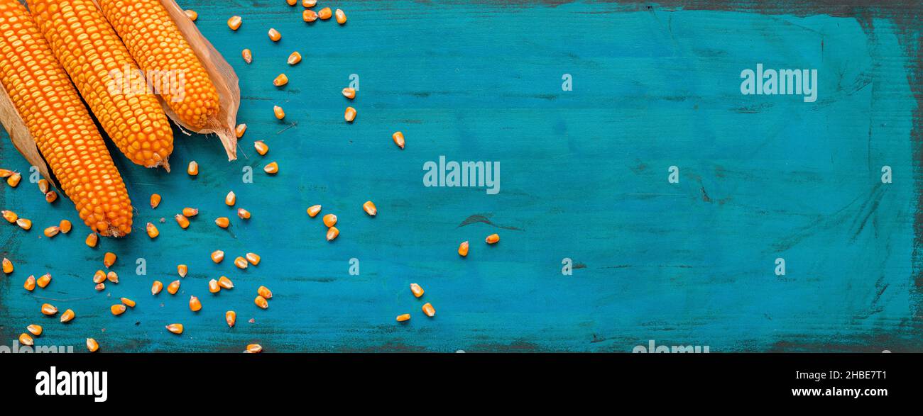 Corncobs and grain on rustic wooden background, top view of harvested ...