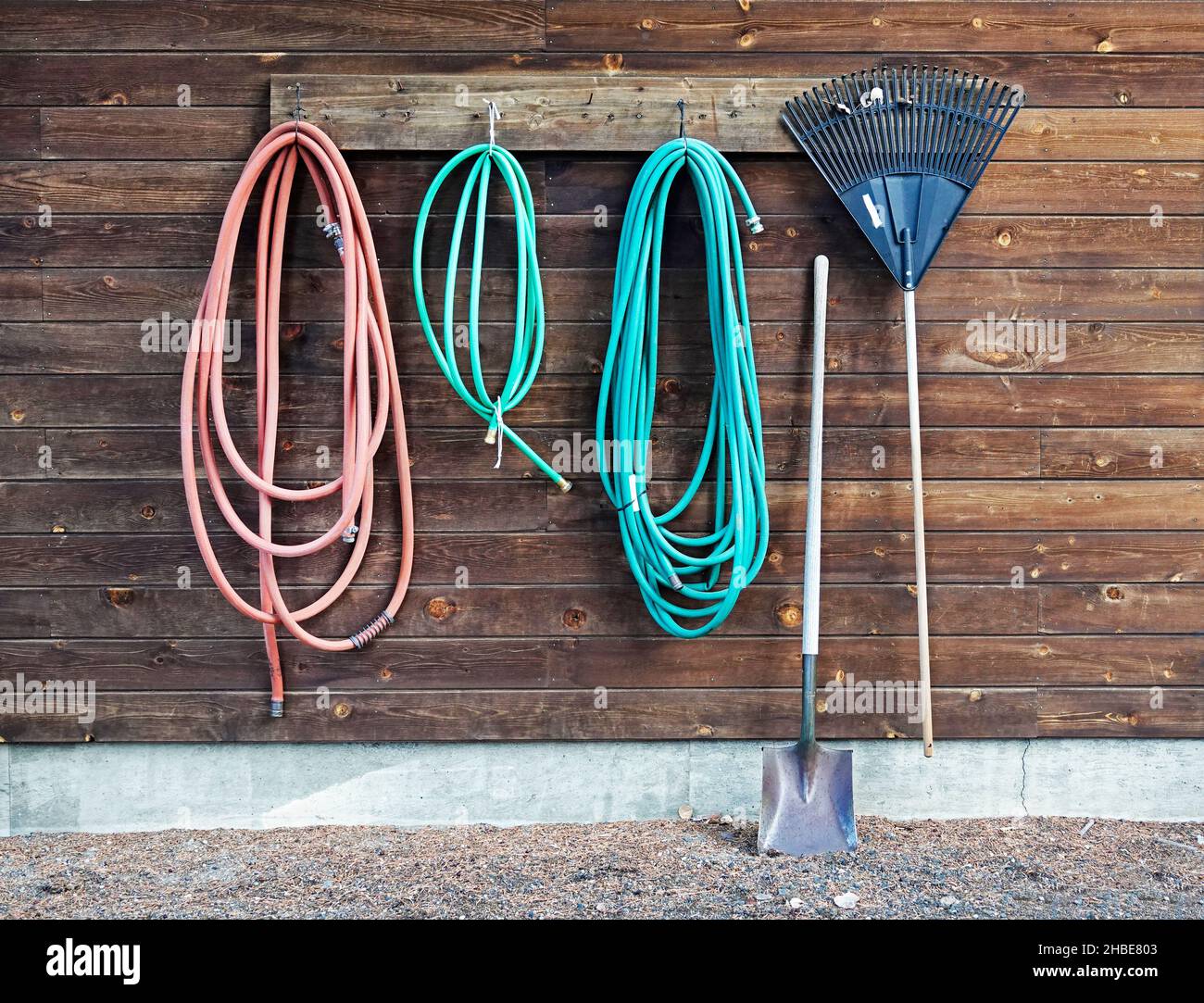 Hoses, rake, shovel, and other garden tools against a wooden wall on a ...