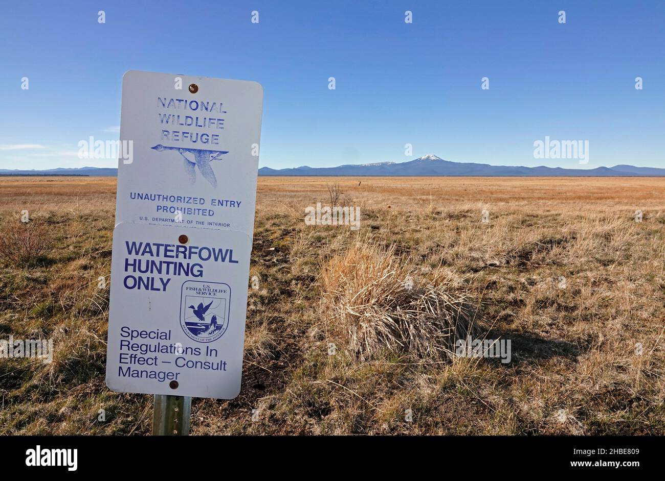 Marshy habitat hi-res stock photography and images - Alamy