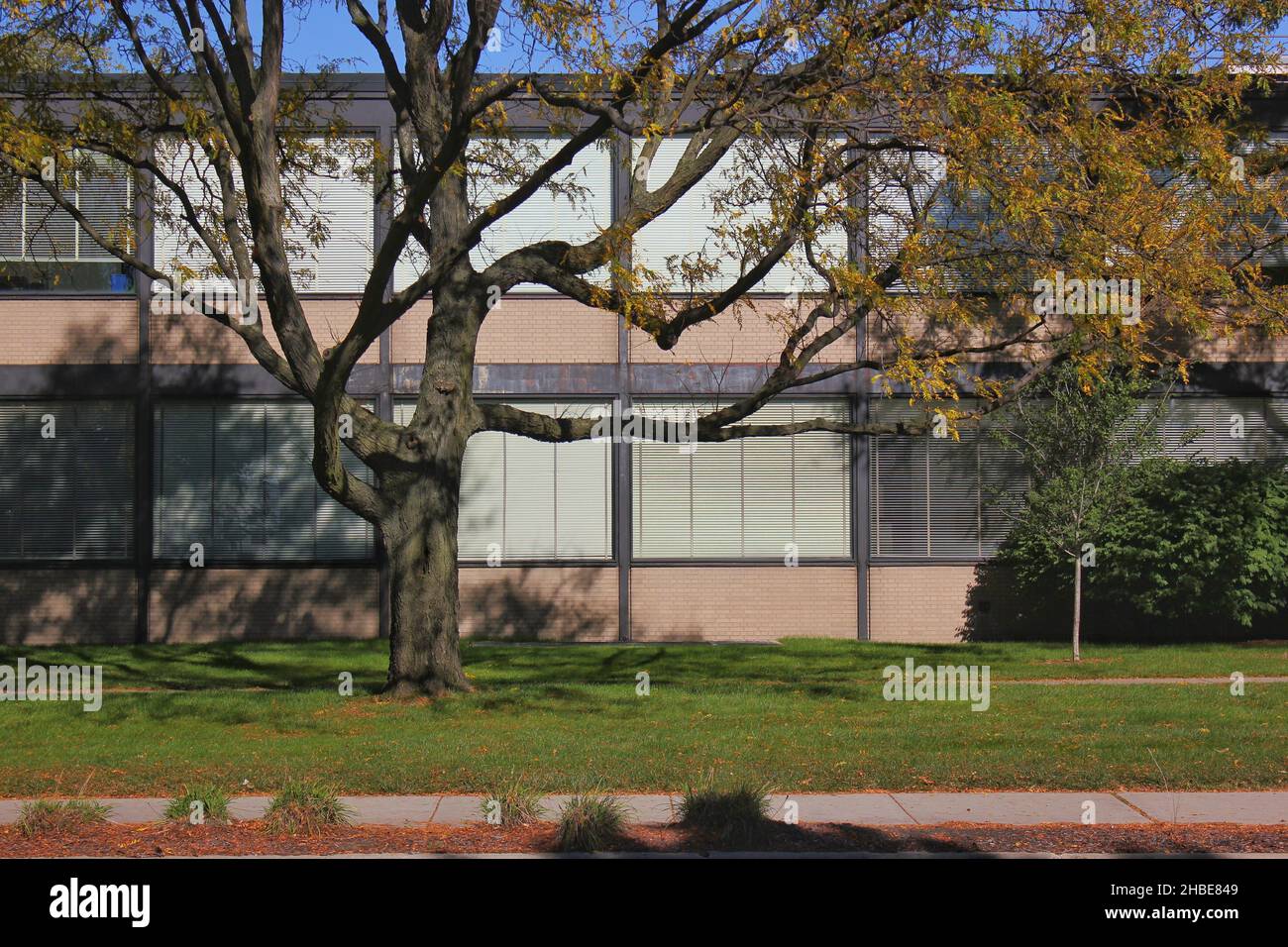 IIT's buildings on the Chicago college campus Stock Photo - Alamy