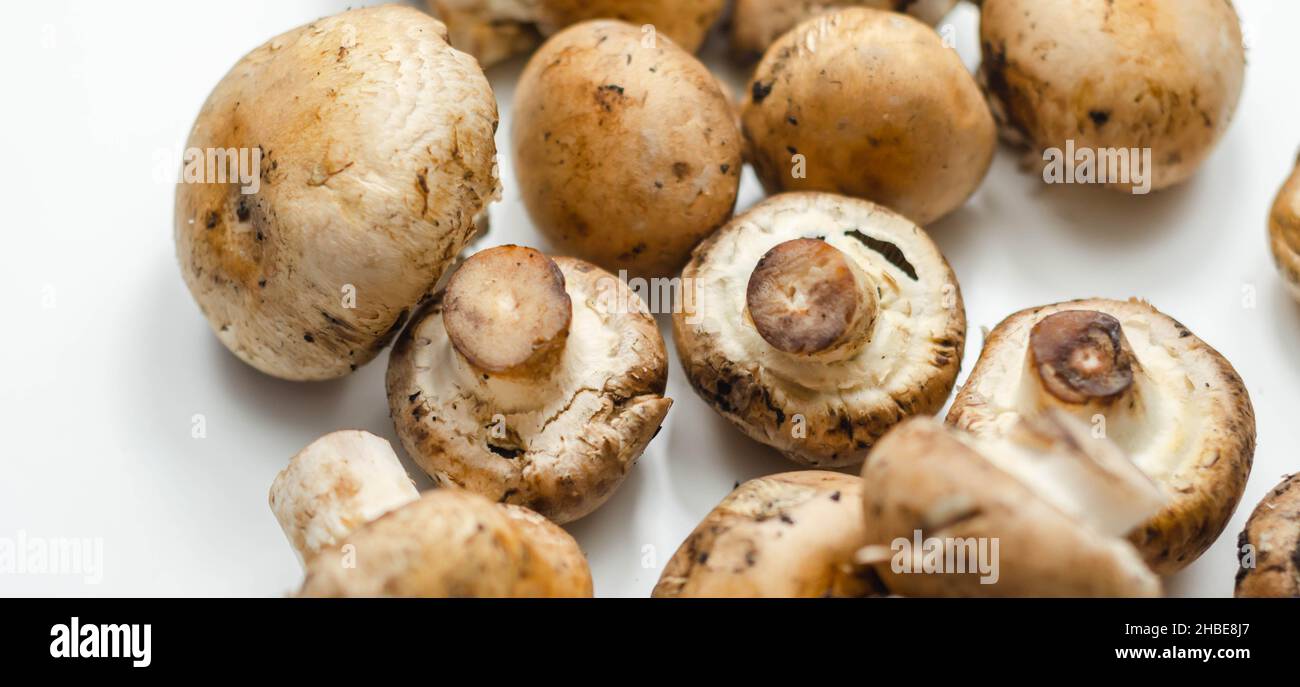 Raw and fresh mushrooms on a white background, vegetables from an ...