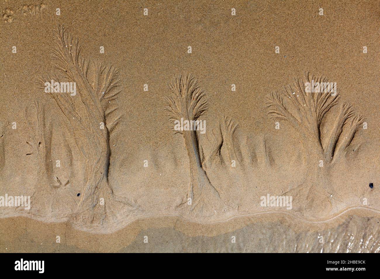 Patterns of water rivulets in sand, caused by sea water flowing back at ...