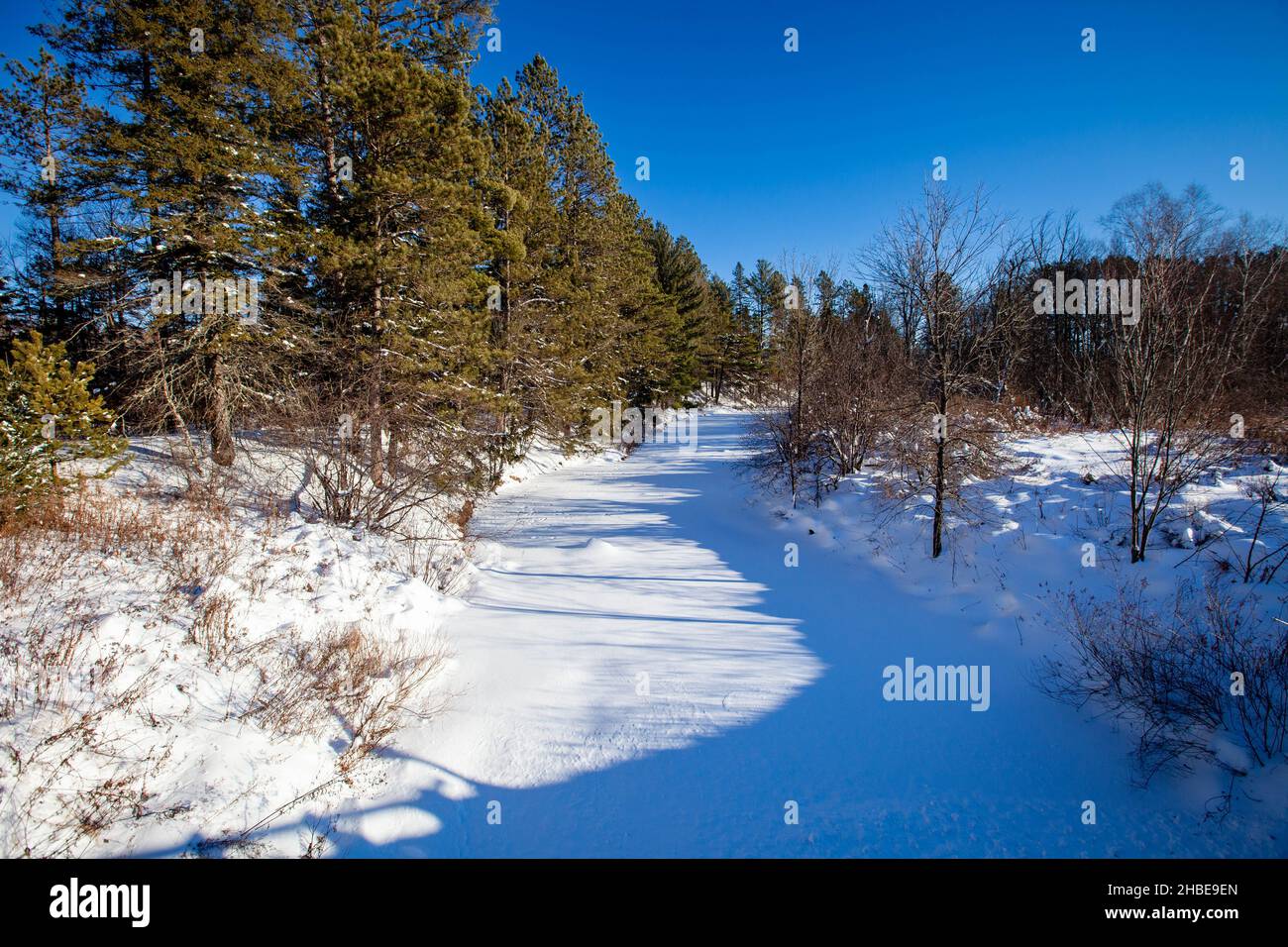 Frozen stream running through a Wisconsin forest, horizontal Stock ...