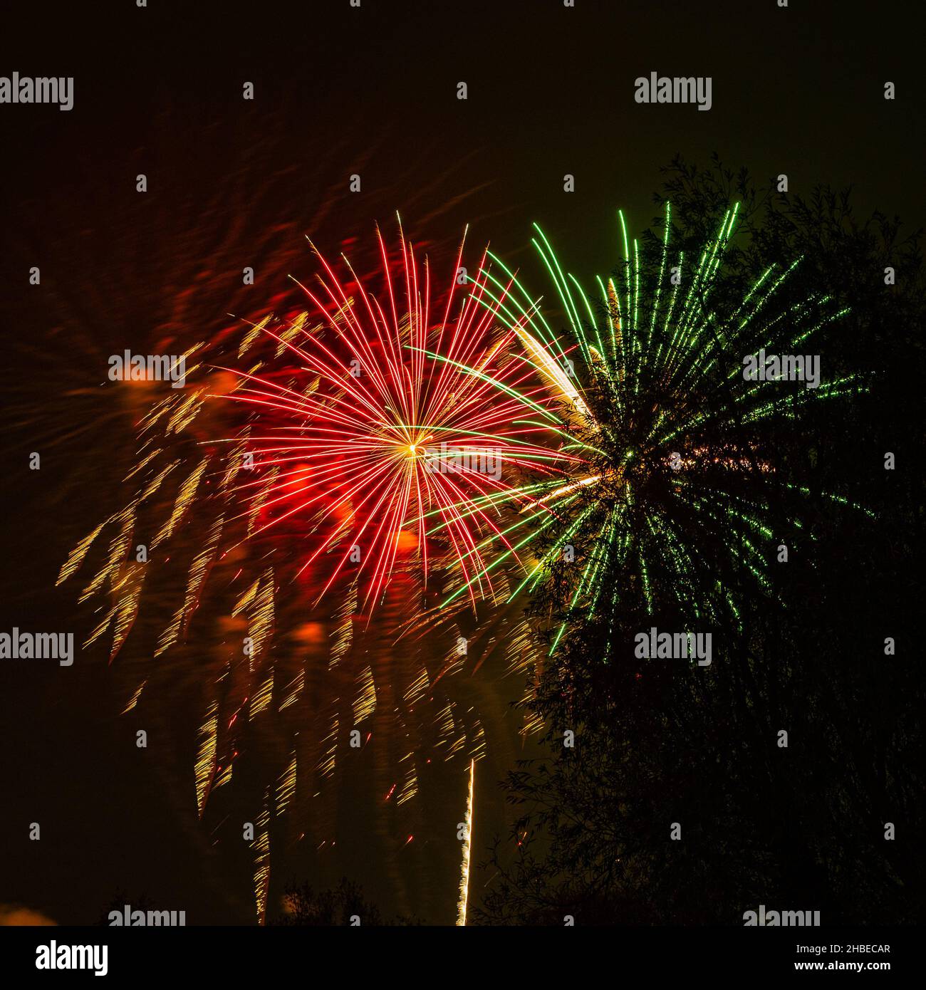 A scenic view of the beautiful fireworks in the night sky Stock Photo ...