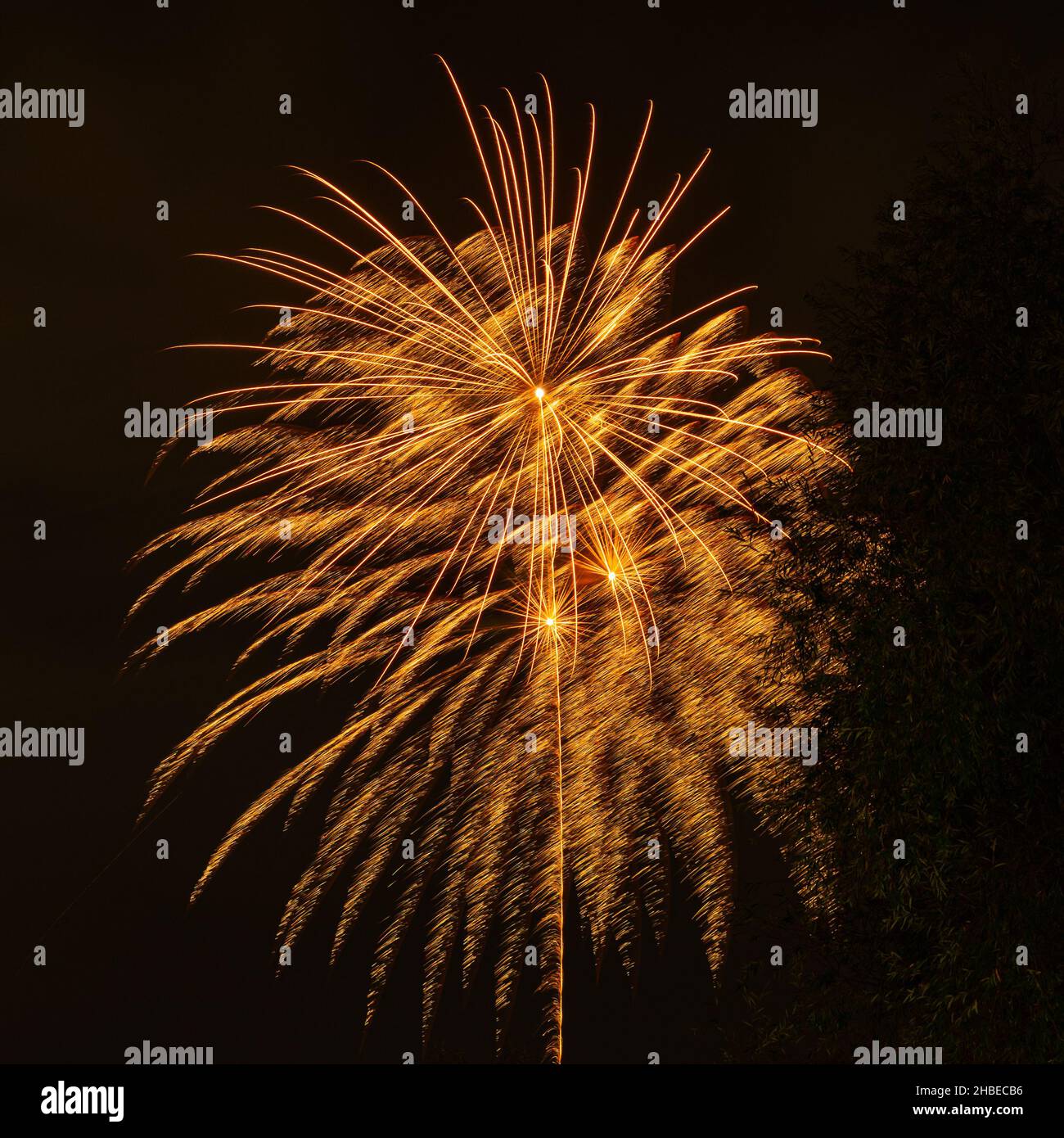 A scenic view of the beautiful fireworks in the night sky Stock Photo ...