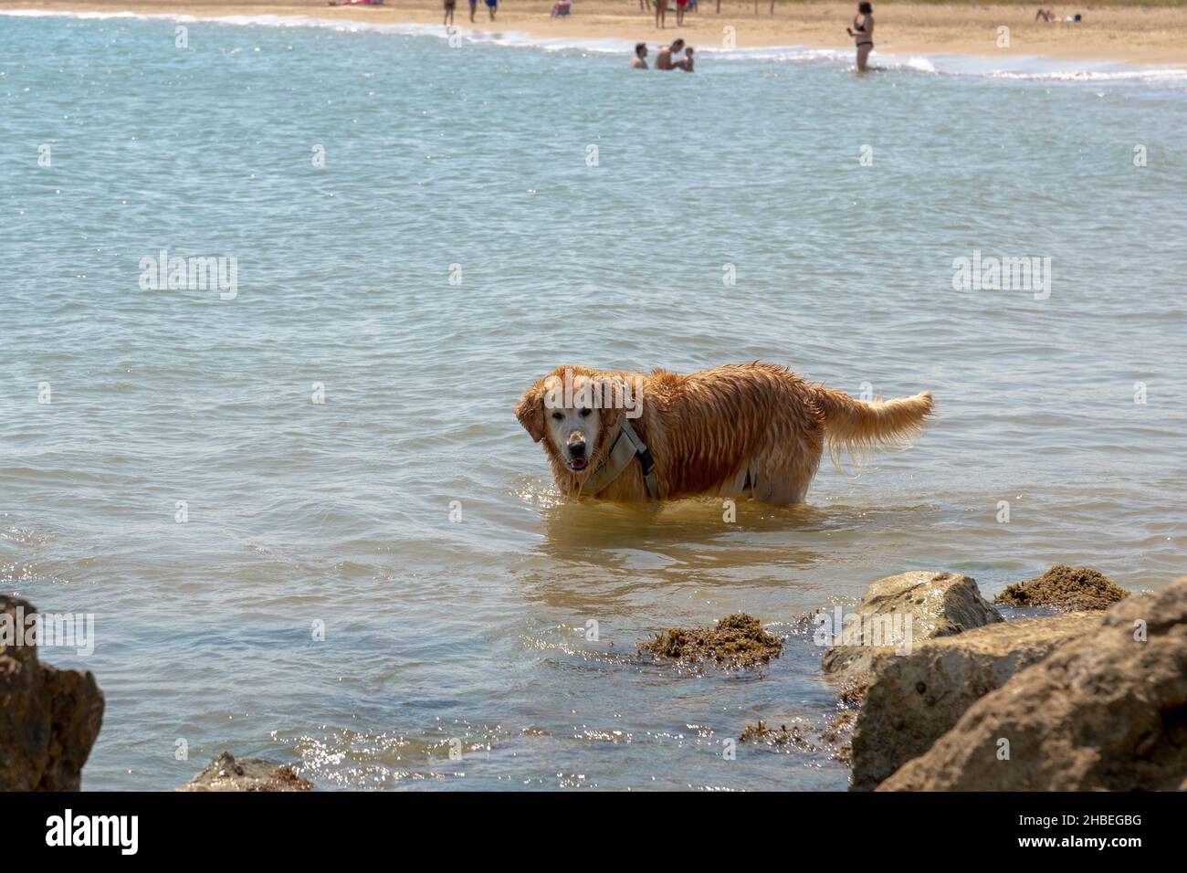 Summer fun water sea hi-res stock photography and images - Alamy