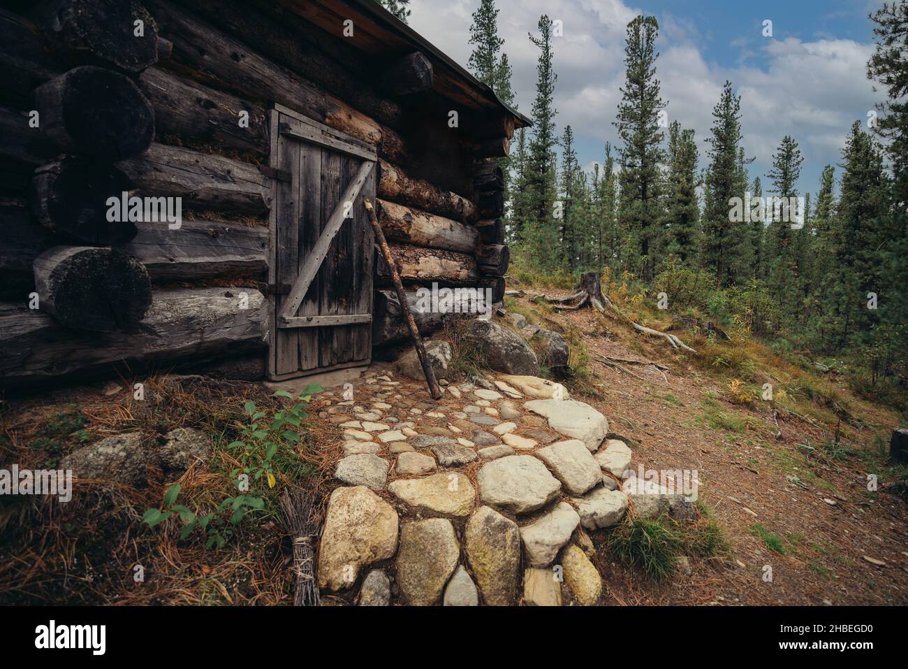 A house made of logs, with stone steps, on top of the hill surrounded ...