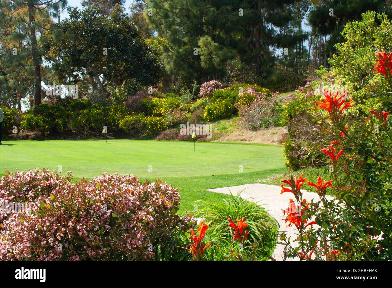 Playing amongst the flowers hi-res stock photography and images - Alamy