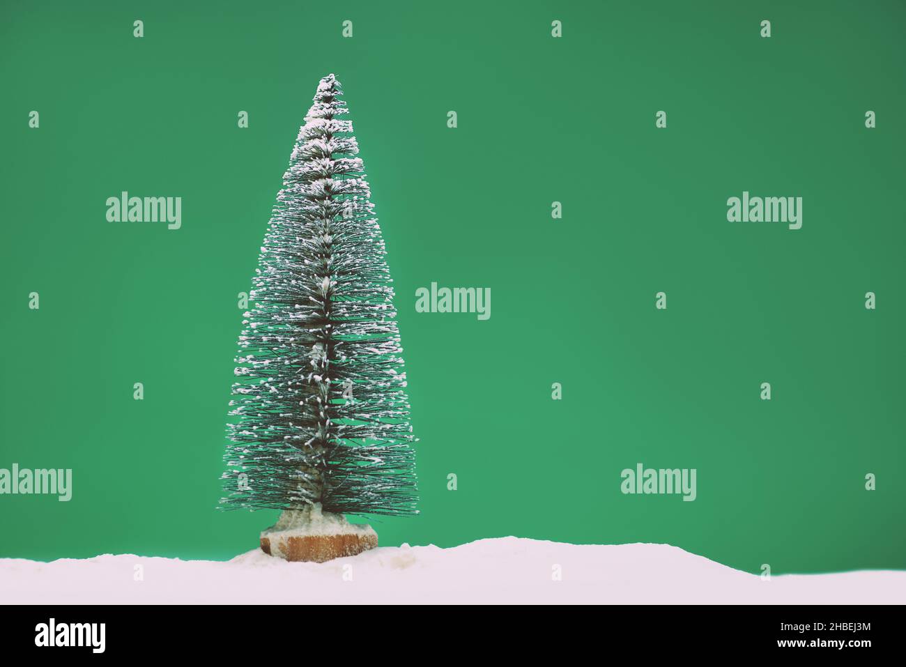 Pine tree on a matte green background with some snow Stock Photo - Alamy